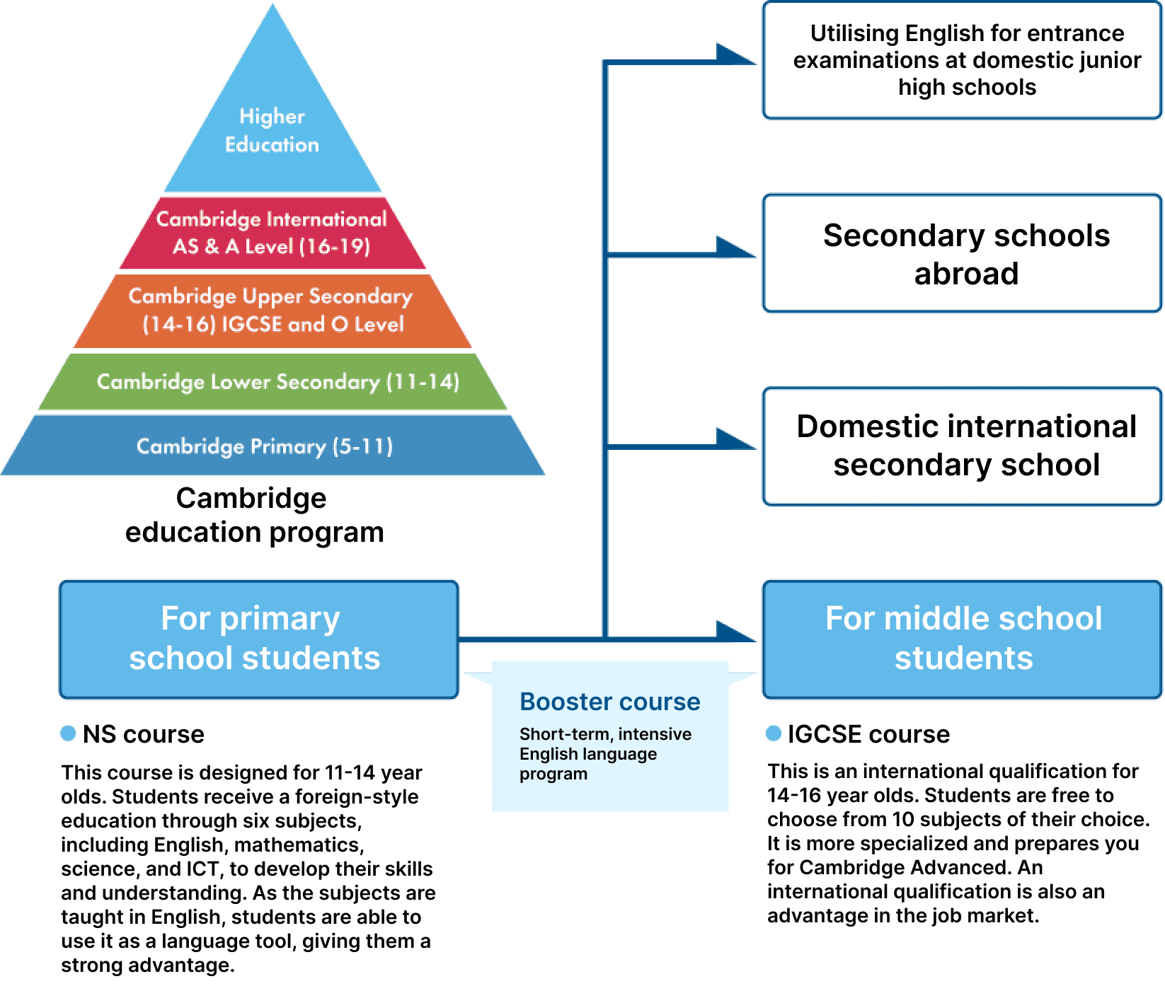 NS Course(Year 7,8,9) ｜Nisaiケンブリッジインターナショナルオンライン